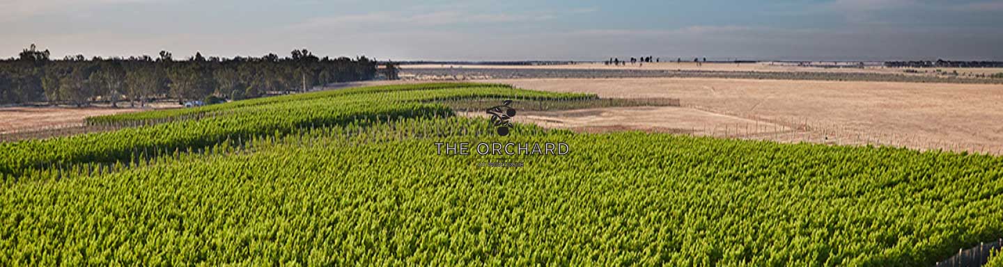 The-Orchard-Hero - Montague Farms