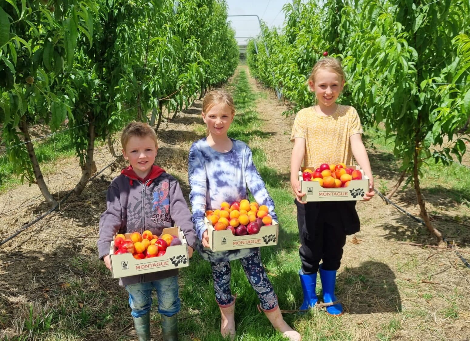 Apple Orchard Restaurants Tours | The Orchard at Montague | Yarra ...