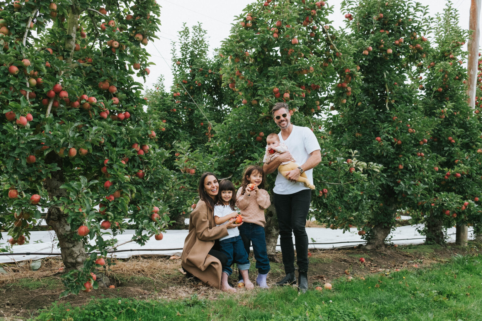 Apple Orchard Restaurants Tours | The Orchard at Montague | Yarra ...