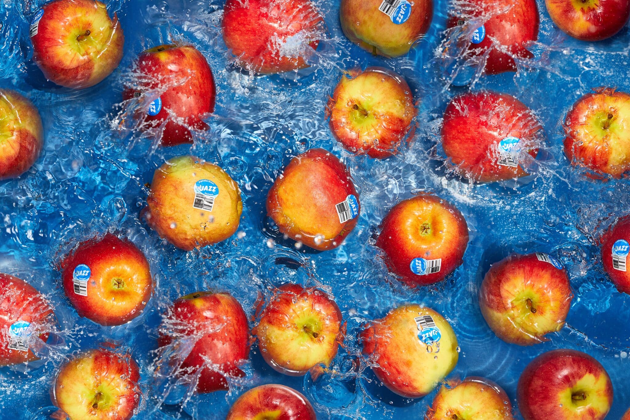 JAZZ™ Apples - Montague Farms