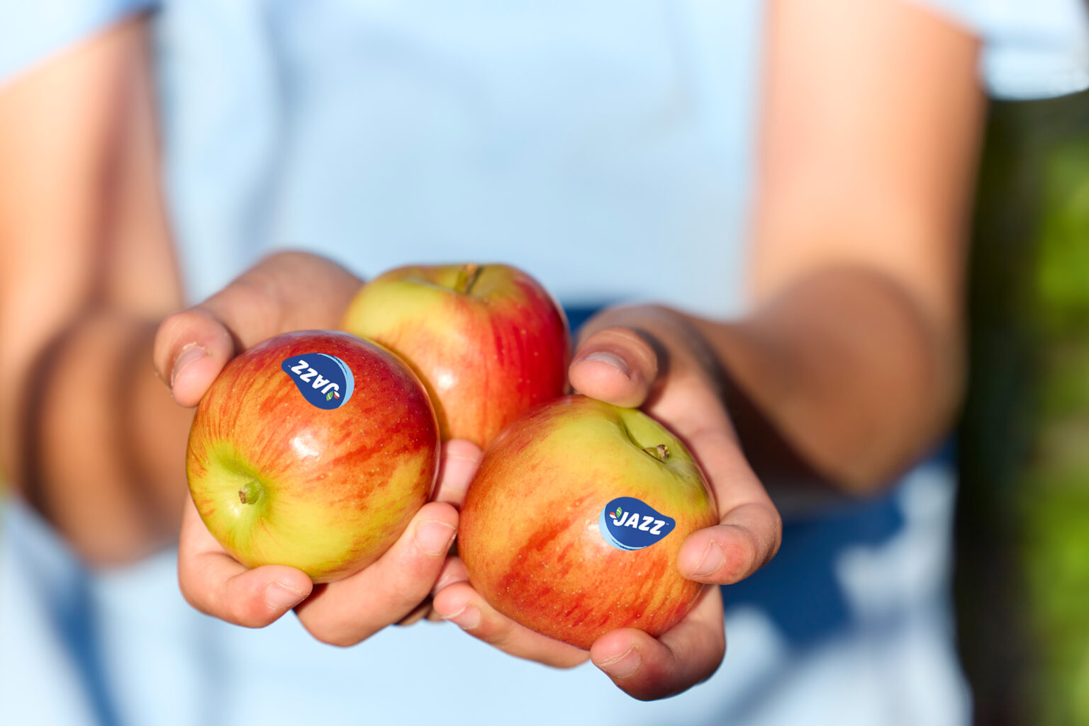 JAZZ™ Apples - Montague Farms