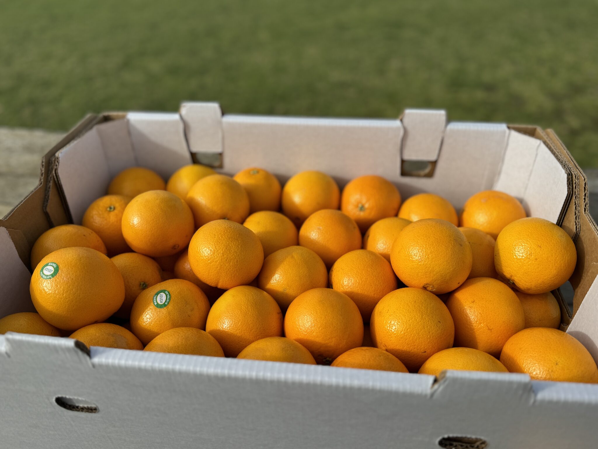 Navel Oranges 18kg Box - Montague Farms